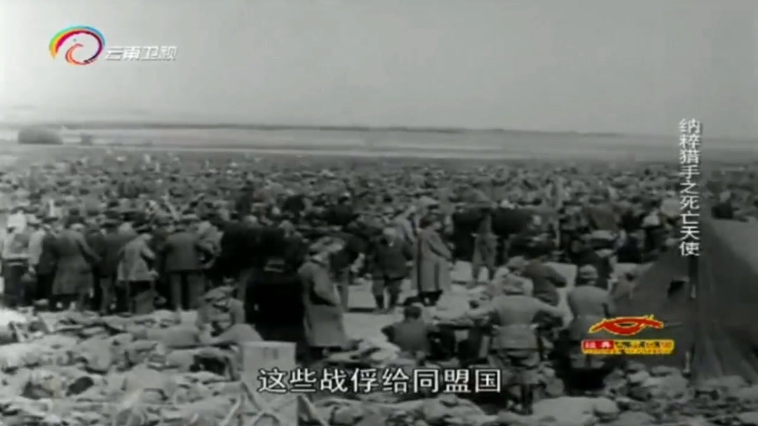 二战结束,盟军搜捕纳粹战犯,而最臭名昭著的战犯被意外放走