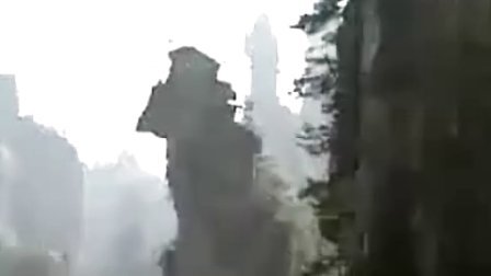 张家界旅游研讨会宣传片.