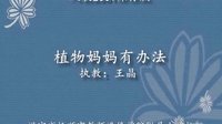 课堂实录《植物妈妈有办法》王晶