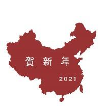 梦龙剪纸非遗手工 