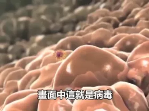 感冒的过程