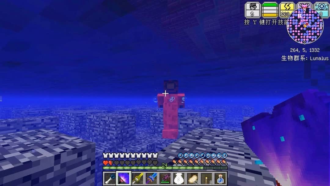 我的世界虚无:有谁知道这个是啥怪物吗,自带跟踪自导系统