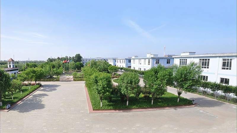 天津不锈钢喉箍厂家——凯诺实业