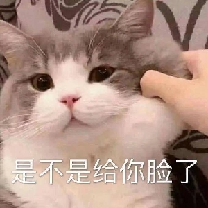 青青大狗 