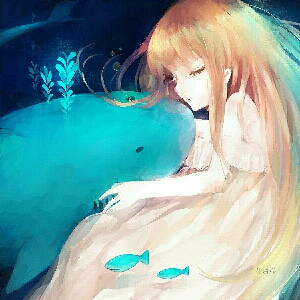 小新Aiden 