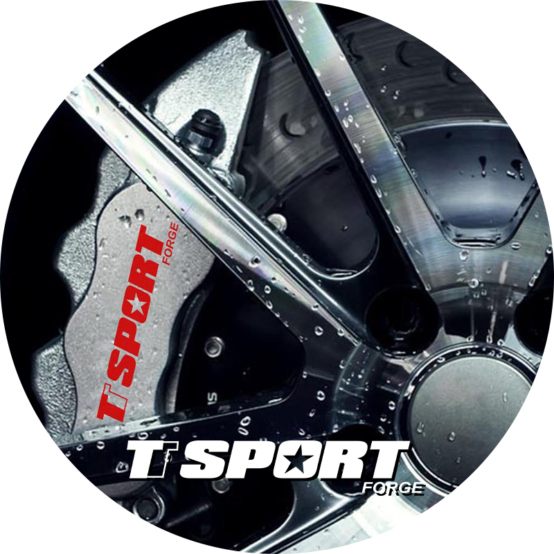 TTSPORT刹车 