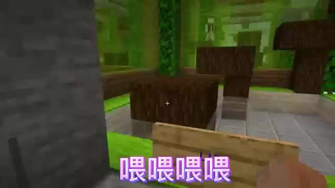 #我的世界 #哈哈哈哈哈哈我要笑死了 #原创剪辑 #张三#罗翔