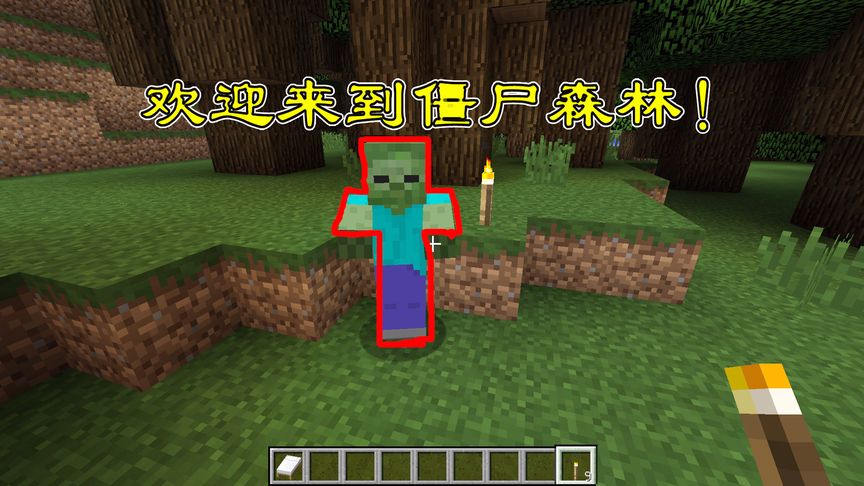 我的世界:寻找森林神殿,意外发现僵尸森林到处都是野兽