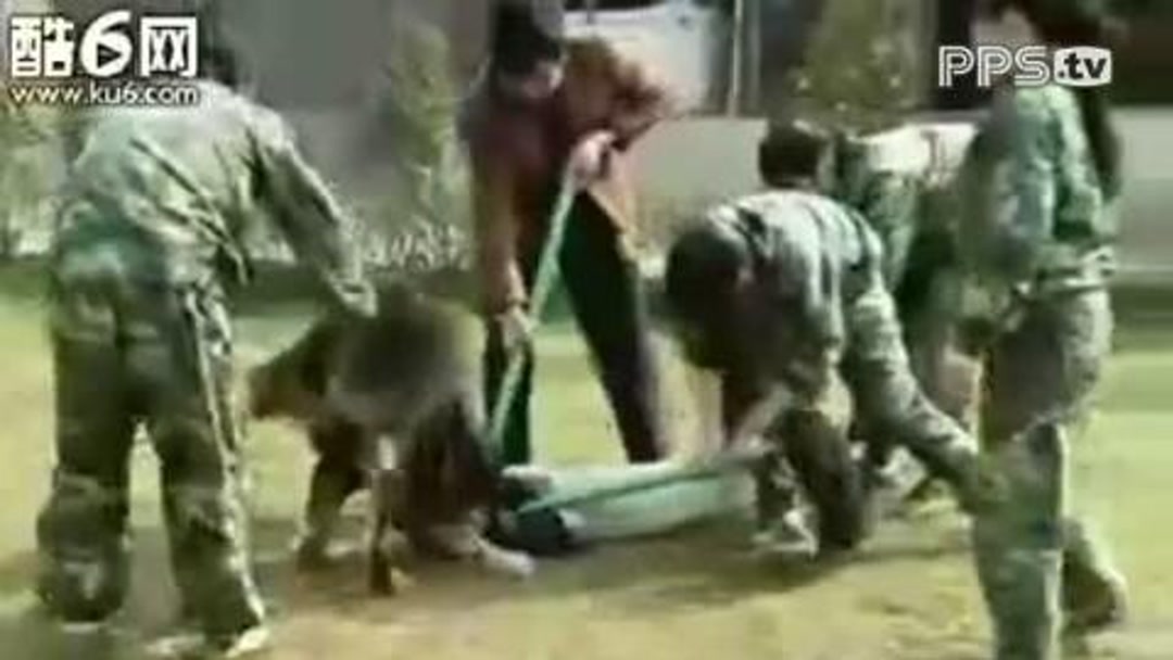 藏獒打架 极其残忍