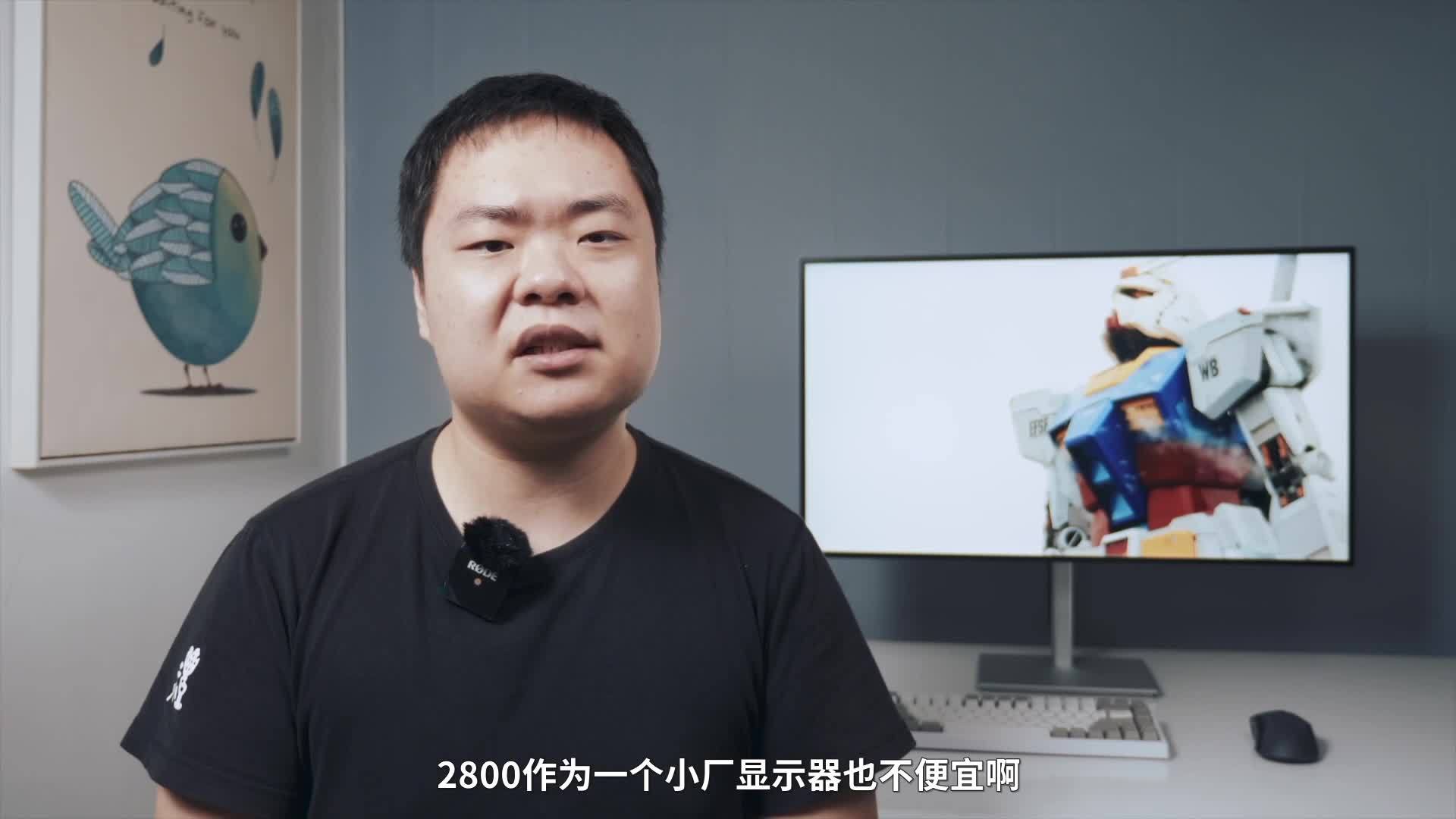 32英寸IPS 4K HDR 10Bit 这个显示器怎么样