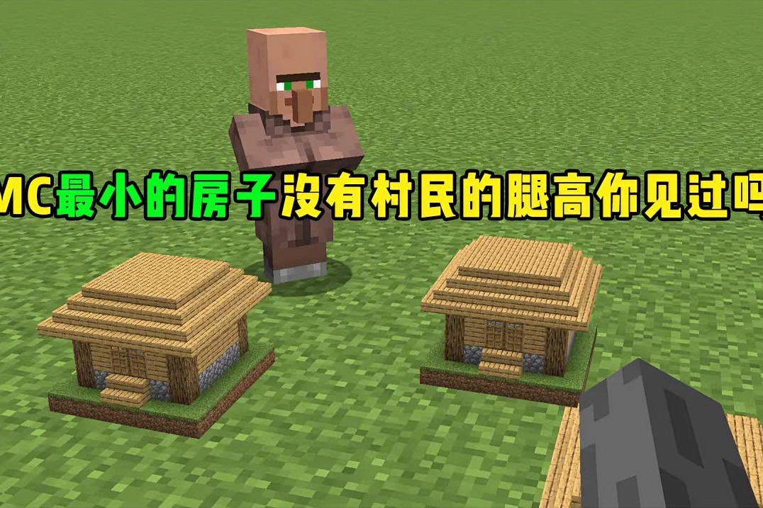 我的世界:MC最小的房子你见过吗?还没有村民的腿高!