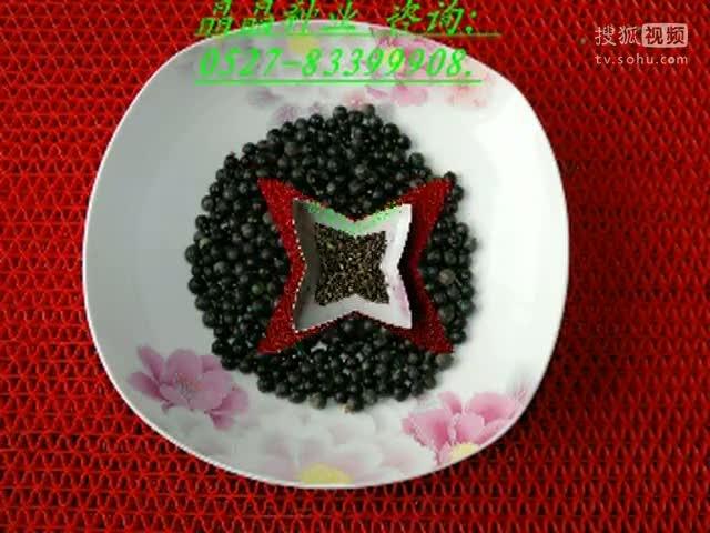 绿化苗木种子 花卉种子价格 供应种子 草坪 牧草种子 优质供