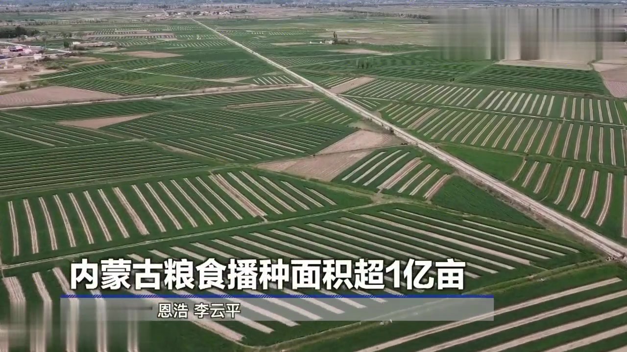 内蒙古粮食播种面积超1亿亩