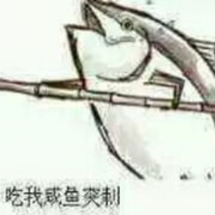 咸鱼军7号 