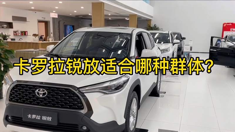 丰田卡罗拉锐放你觉得适合哪种群体?