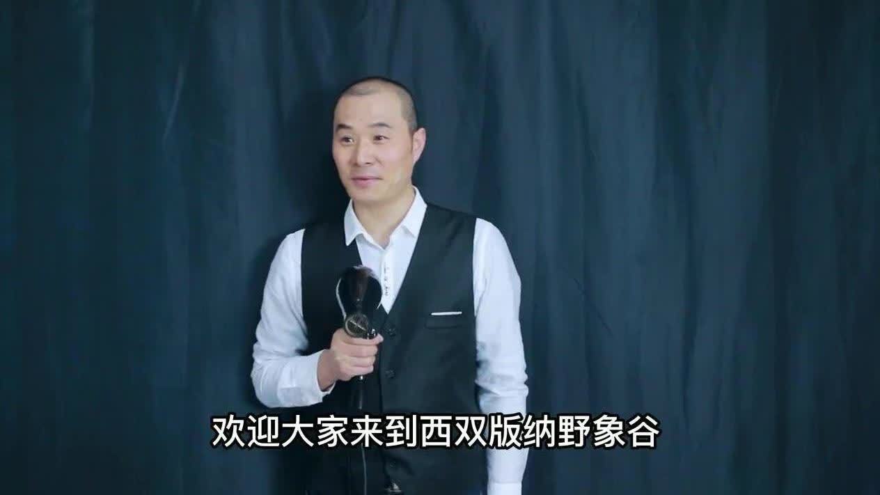 许飞脱口秀模仿导游太搞笑,戏精上身在家就能体会身处大自然!