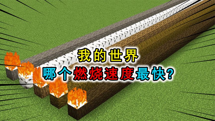 我的世界:哪种原木燃烧速度最快?白桦木成功逆袭,橡木垫底