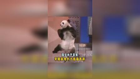 以前的春晚居然有熊猫表演节目!