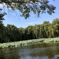 娱乐星途 