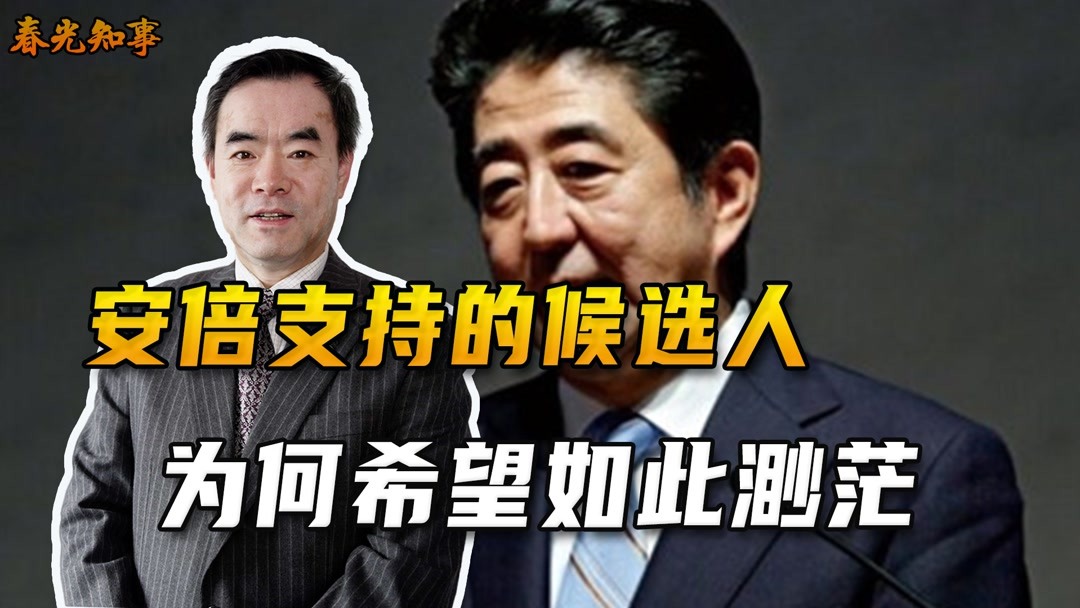 日本真会出现女首相?菅义伟的3位候选人,她最不被看好