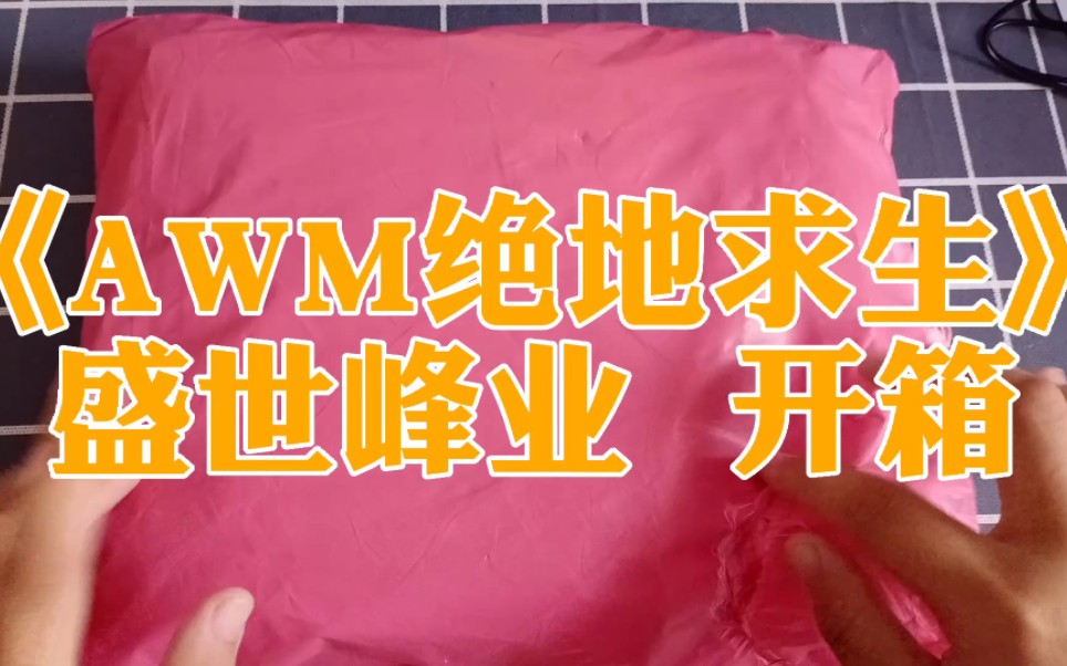 漫漫何其多《AWM绝地求生》(盛世)开箱