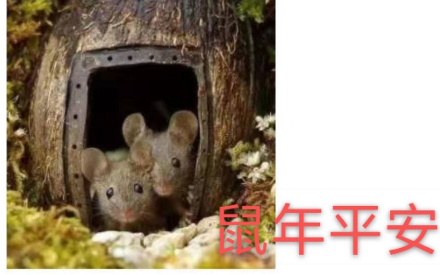 中考数学复习:一元二次方程及应用