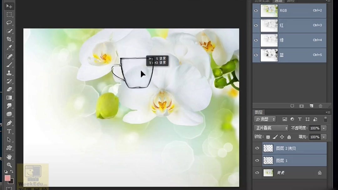 PS抠图实用技巧之透明玻璃杯的抠图技巧