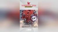 网友展示新冠毒株模型,“原来感染的是这么丑的东西”