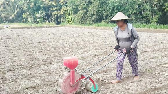 40岁阿姨发明“手推式”玉米播种机,一天播种5亩地,60元造一台