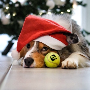 世间最大的监狱是人脑 