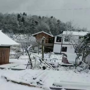 土豆妈妈加油喔 