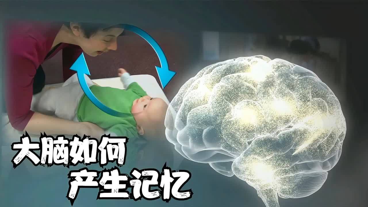 神经递质产生记忆