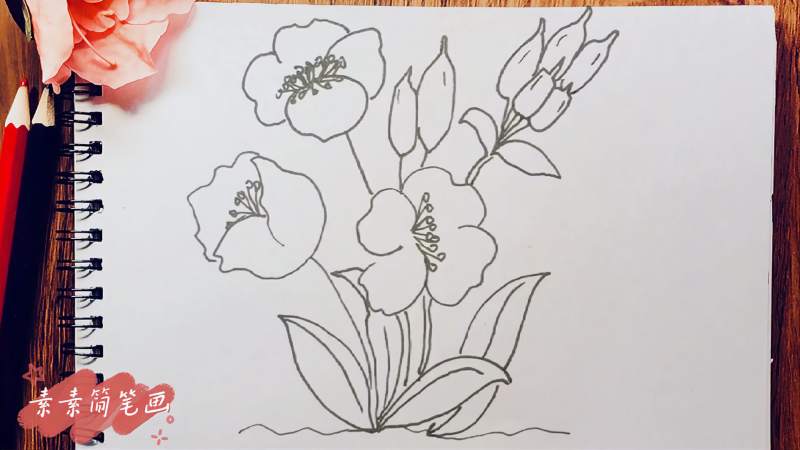 儿童亲子绘画教程,学会画好看小花,简单易学