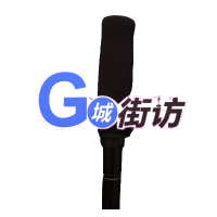 G城街访 