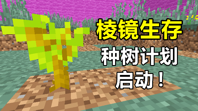 我的世界棱镜生存5:树木不够用怎么办?种树计划,启动!