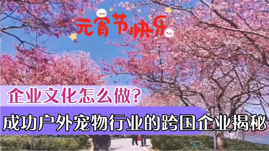 户外宠物跨国企业文化之春节元宵记录片ߘ�原来企业文化可这样做