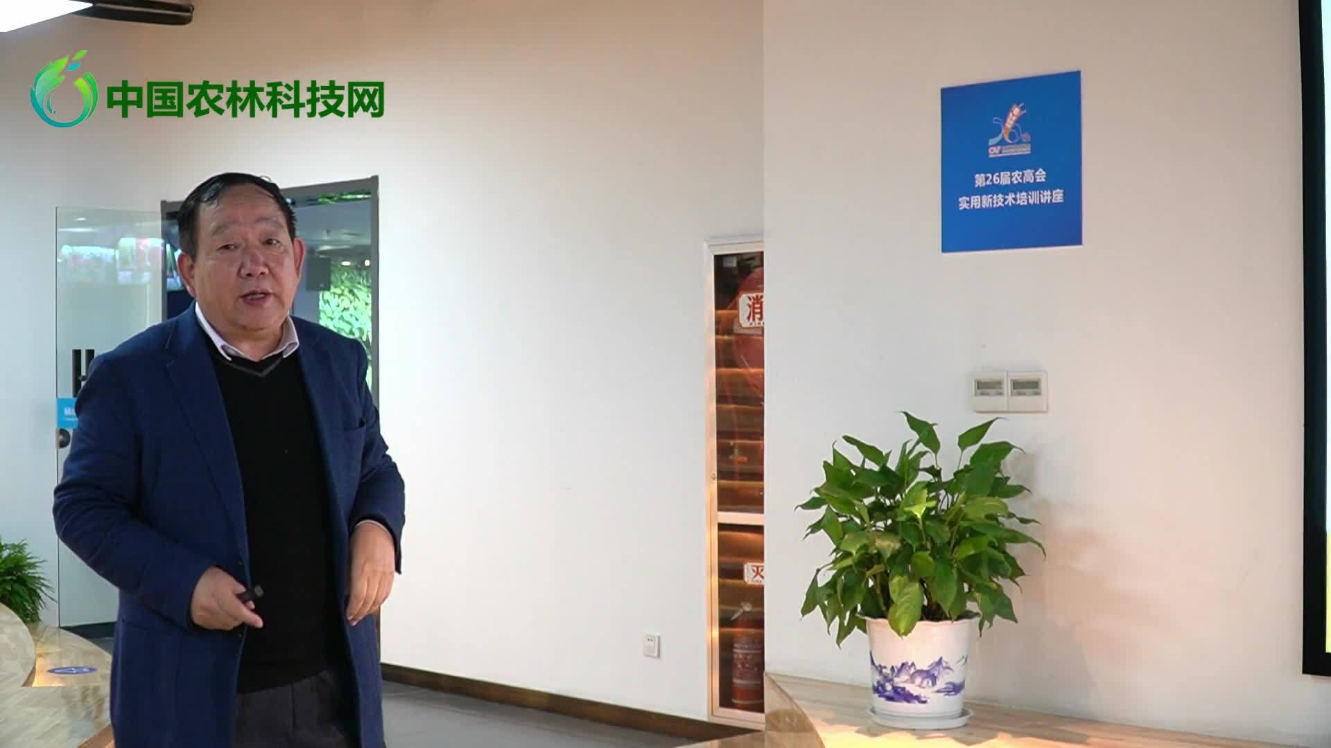 西北农林科技大学高玉鹏教授:现代蛋鸡标准化养殖技术(下)