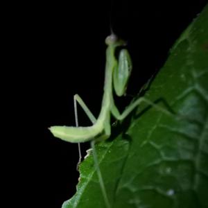 乡村生活家小聂 