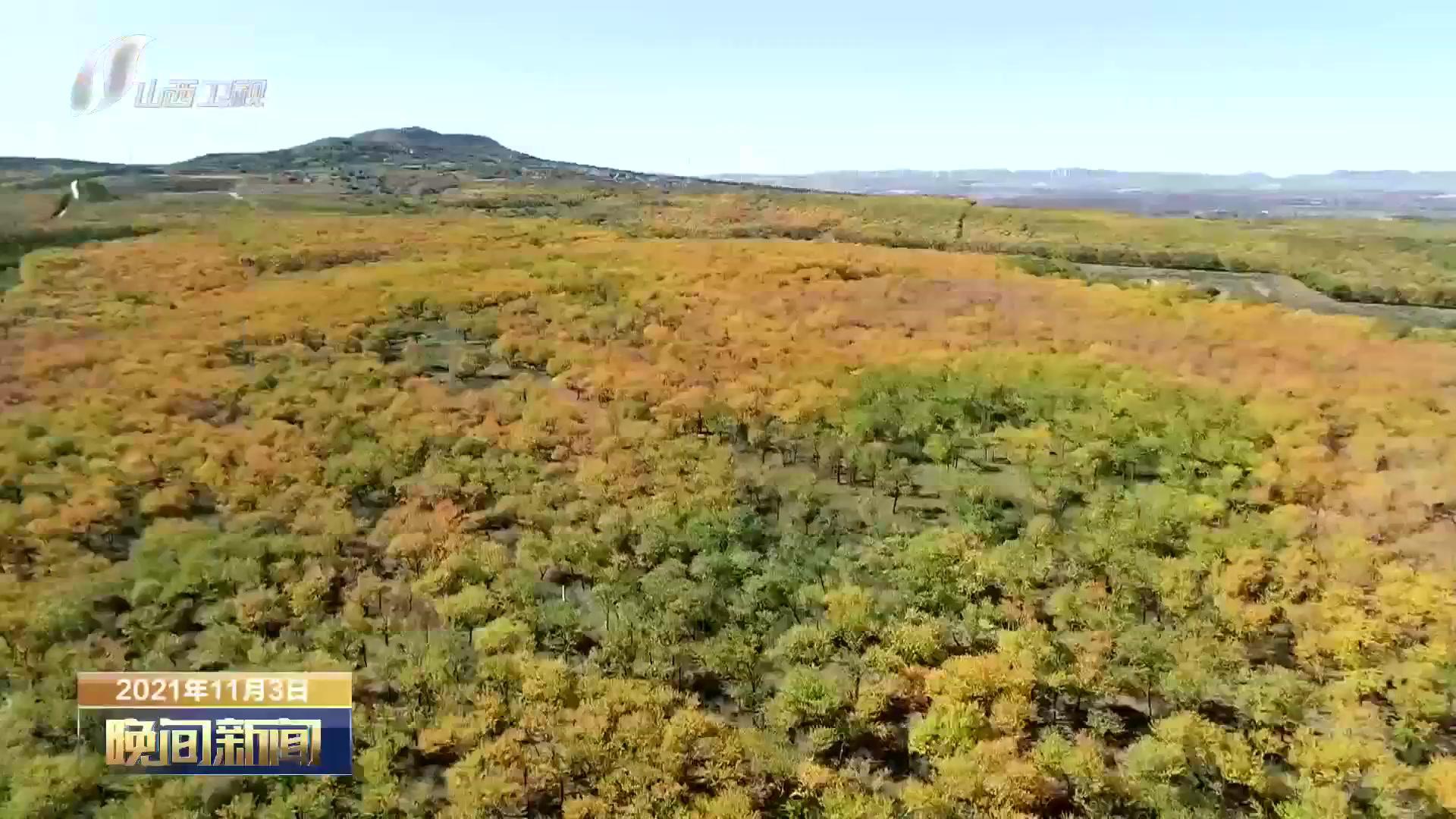 我省森林面积已达5542.93万亩森林覆盖率达到23.57%