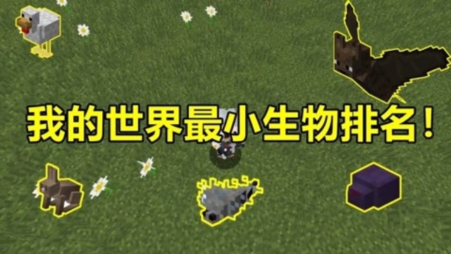 我的世界 Minecraft 最小生物排名!还没一个巴掌大?