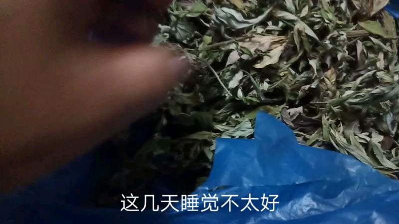 艾草泡脚真心好,女子亲身试过,泡过睡觉真香