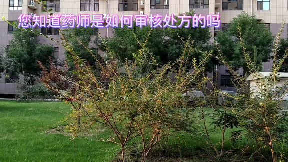 您知道药师是如何审核处方的吗