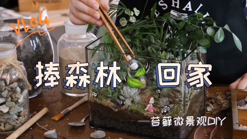 苔藓微景观DIYߍ�创意设计|生态瓶制作教程#vlog日常