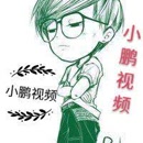 鹏哥哥游戏解说 