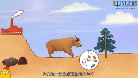 八年级下册生物 生态系统的能量流动和物质循环