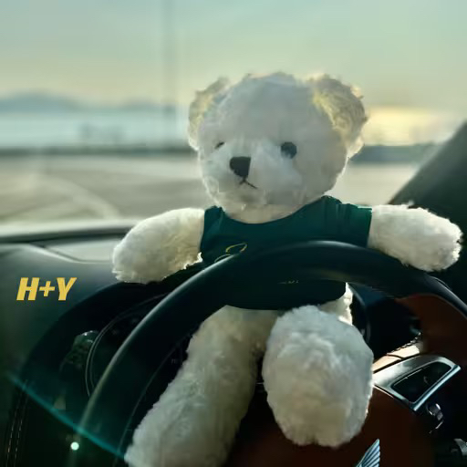 H_plus_Y 
