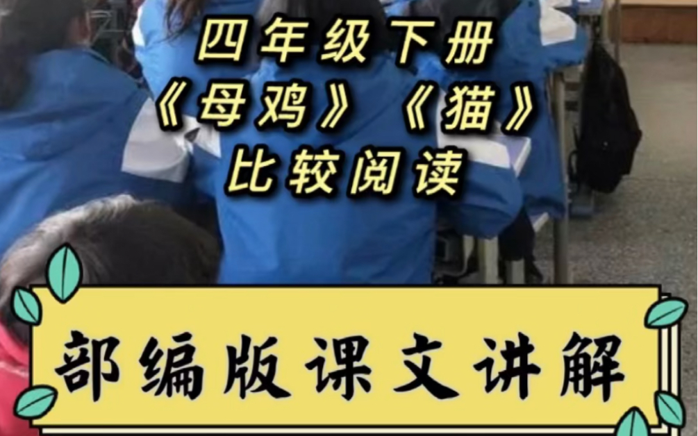 【2/100】是我滴神!快来听听面试第一怎么讲四下比较阅读关关老师...