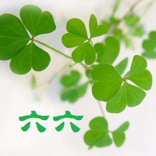 优酷用户1629959834333333 