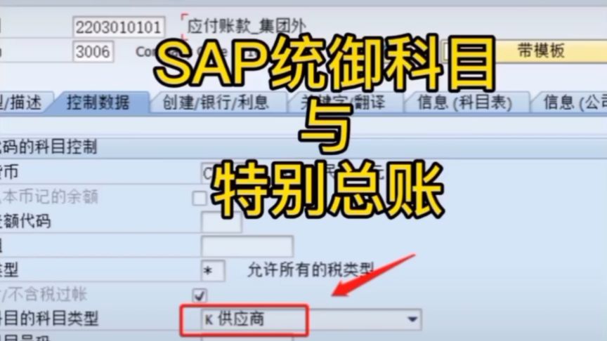 SAP FICO 统御科目 SAP入门