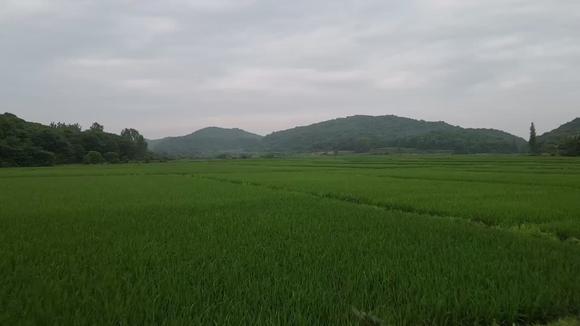 #我的家乡 #大疆无人机 #美丽乡村 #抖出你的家乡 #乡野田间